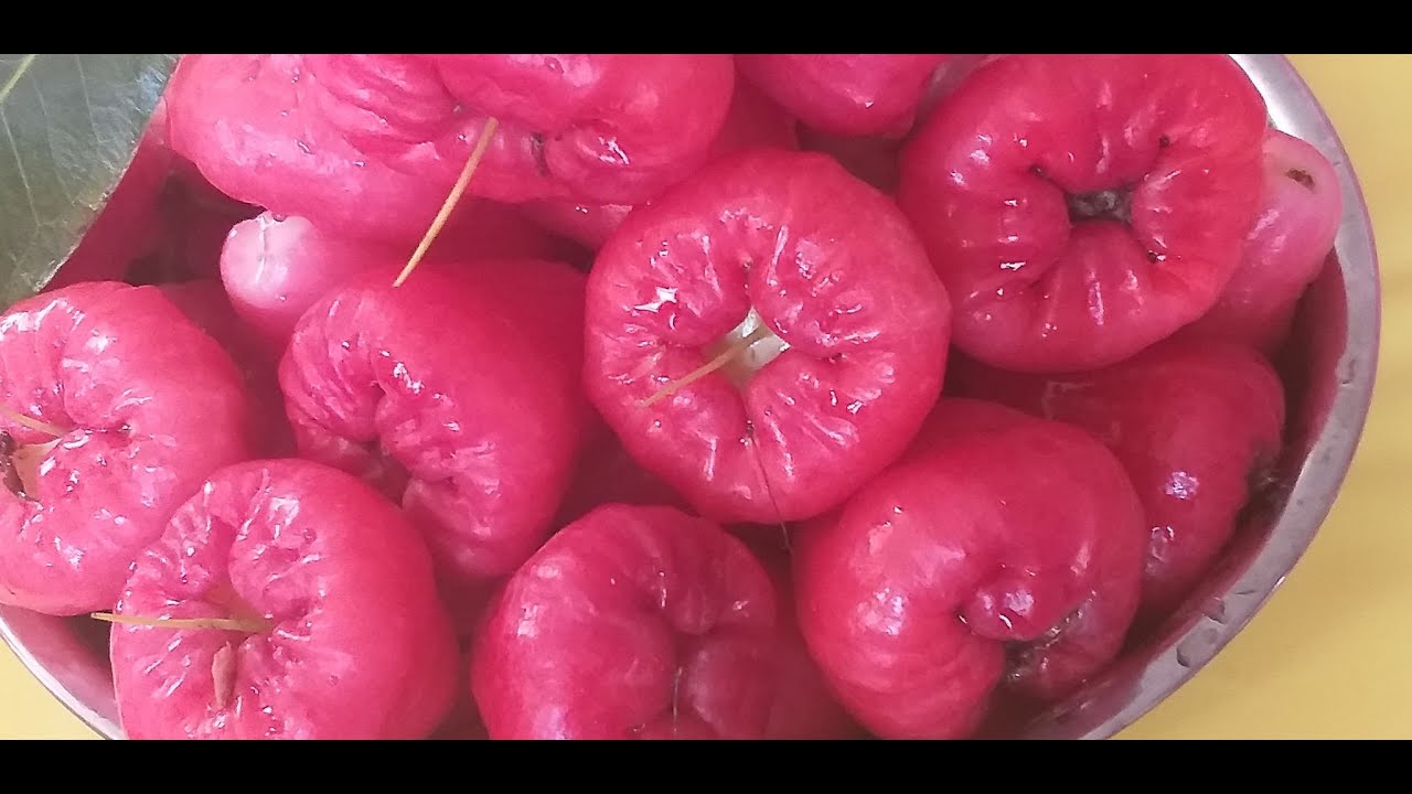 Mai Macopa Fruit...Tambis or Bell Fruit/Rose Apple/Water Apple - YouTube