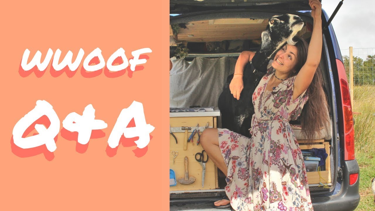 What is Wwoofing? Answering your questions - WWOOF UK - YouTube