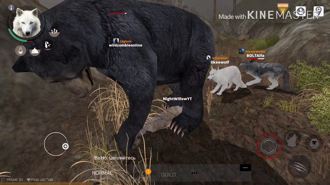 Wolf Online 2 Review - YouTube