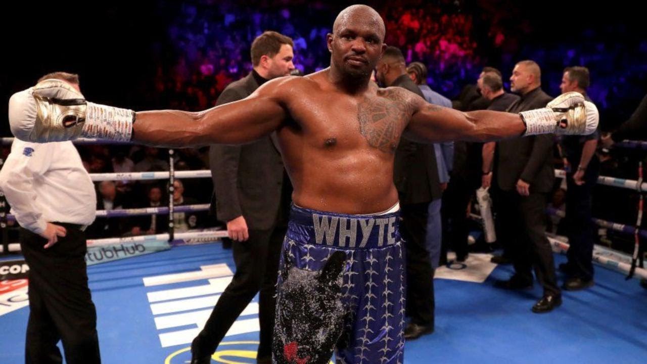 Dillian Whyte - Highlights / Knockouts - YouTube