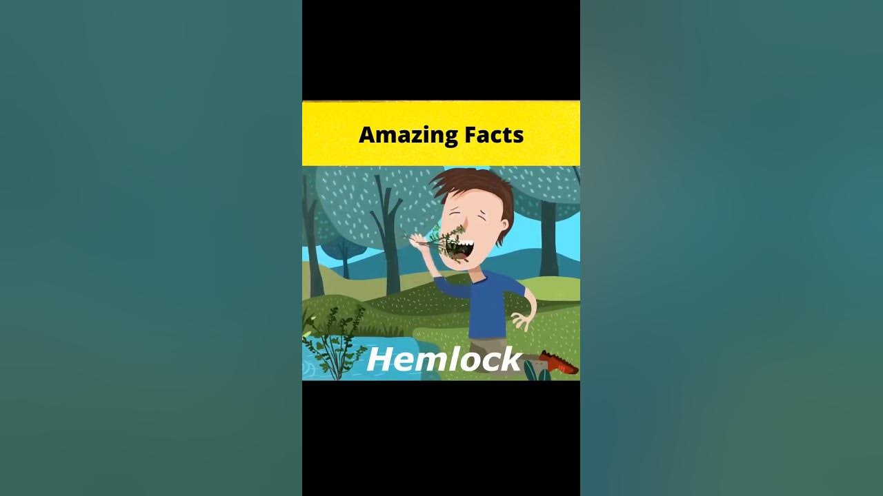 Top 3 Amazing Nature Facts YouTube top-3-amazing-nature-facts-youtube
