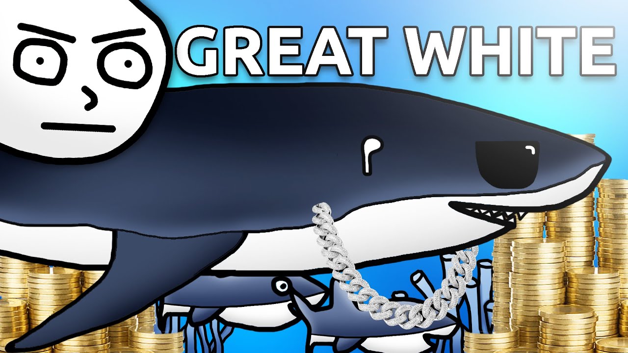 The Shark She Tells You Not to Worry About - YouTube