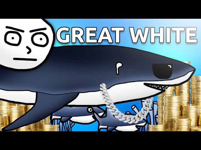 Senpai Shark Memes Shark Memes And Images Imgur