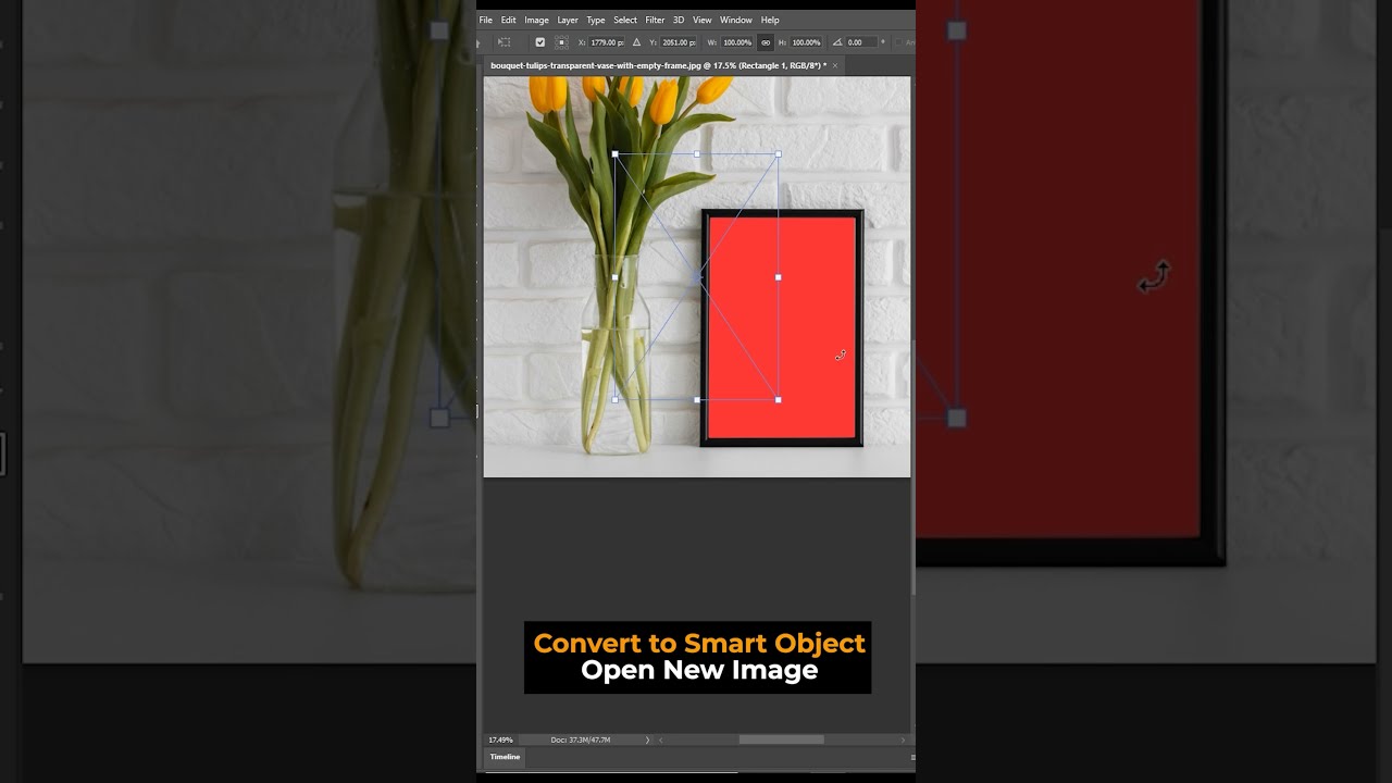 How To Fit Photo In Frame In Photoshop Photoshop Tutorial shorts How To Fit Photo In Frame In Photoshop Photoshop Tutorial shorts