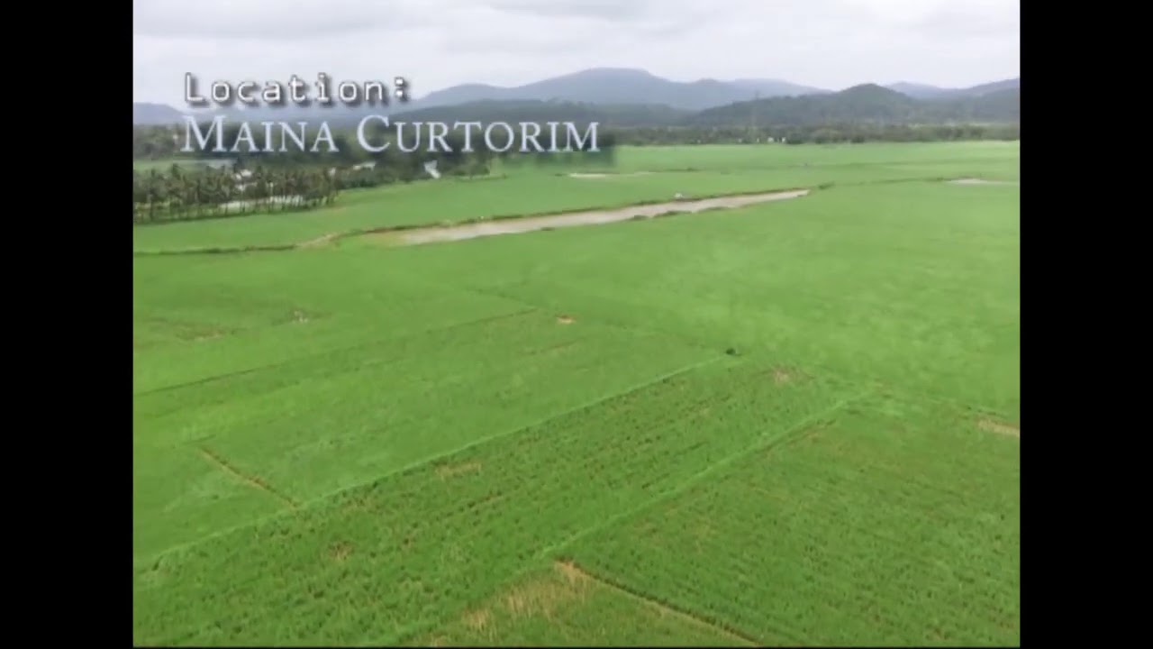 GOAPADDY.com: Mechanised Paddy Plantation at Maina Curtorim - YouTube