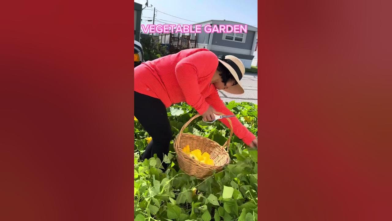 Sari saring gulay sa Maliit na harden - YouTube