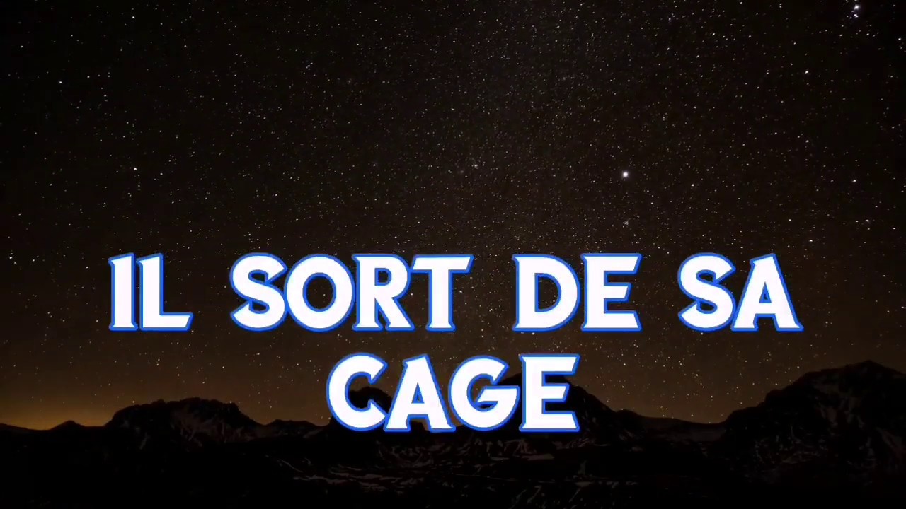 Sentimental Sort: Decluttering Your Heart, One Memory At A Time