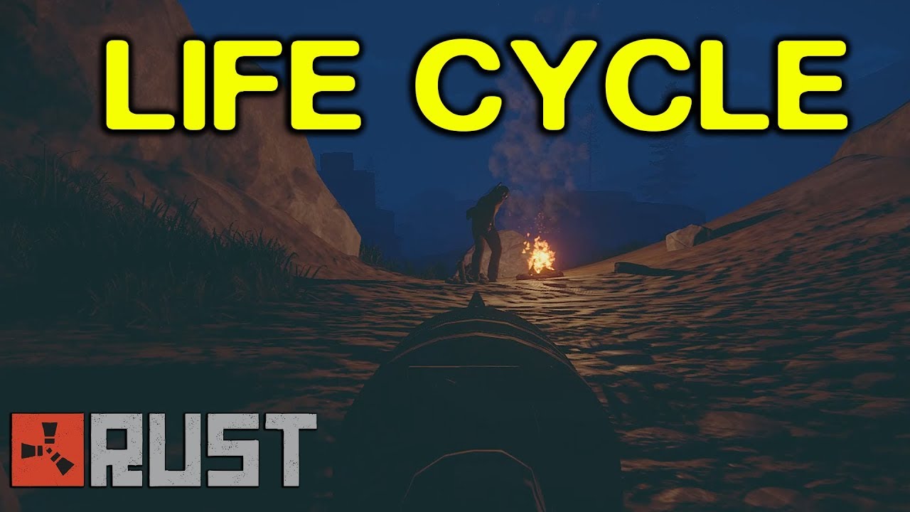 LIFE CYCLE IN RUST - YouTube