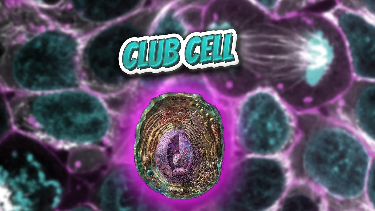 Club cell (Everything Human Cells) 💬👁️🕺🔎 - YouTube