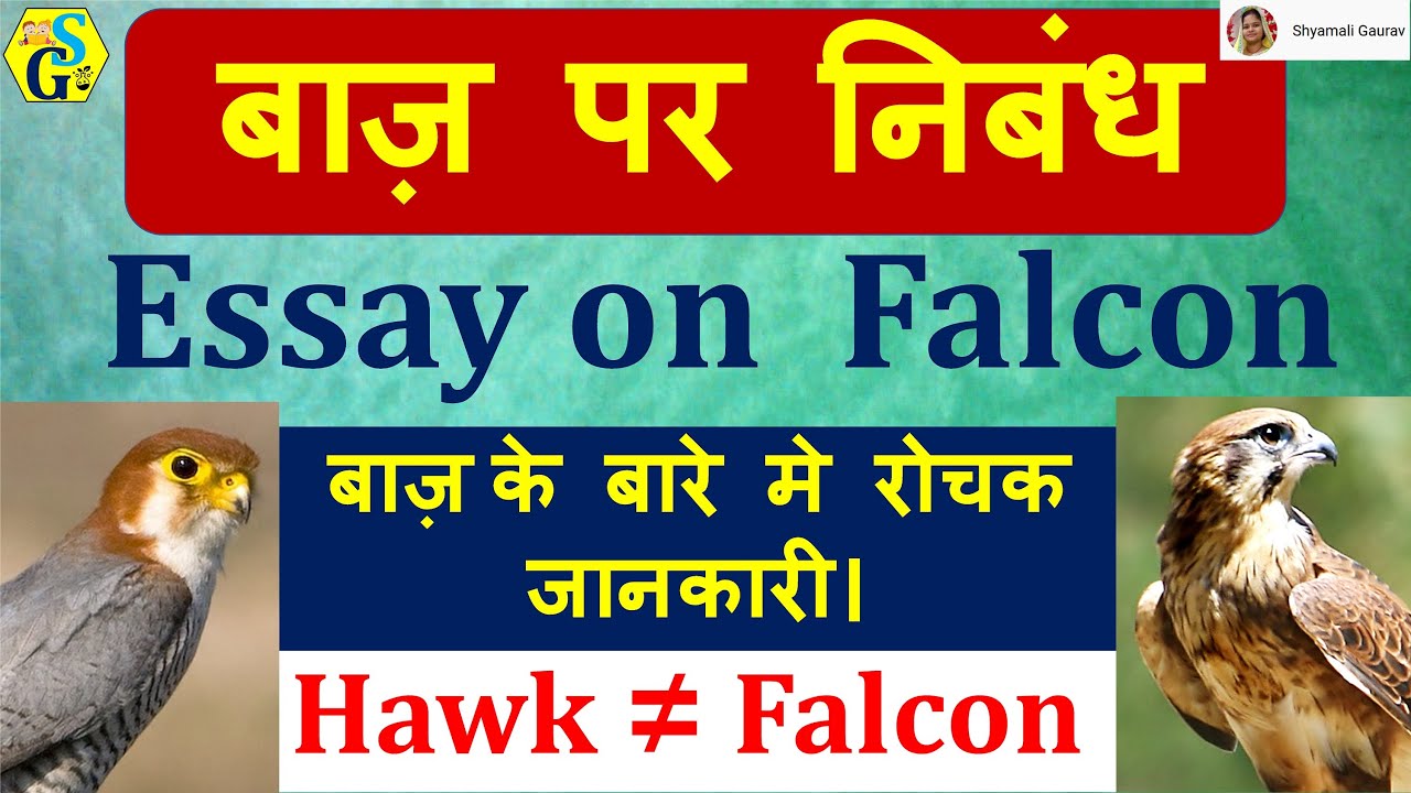 Falcon Essay; Falcon Facts; बाज़ पर निबंध; Baaz Interesting facts ...