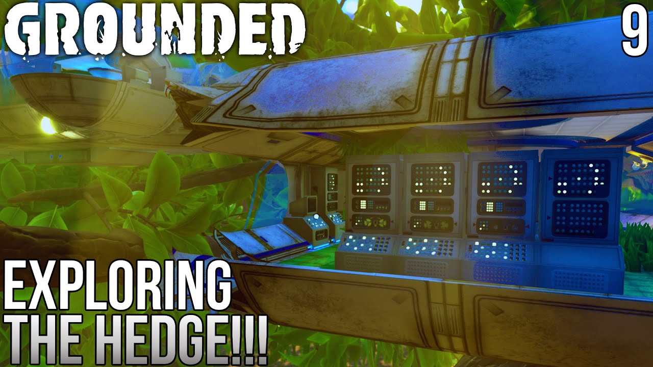 EXPLORING THE HEDGE!! | Grounded Gameplay/Let's Play E9 - YouTube
