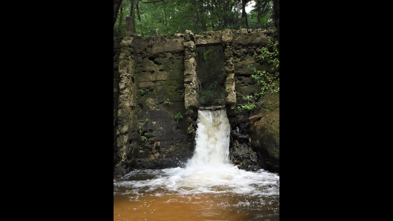 Kayaking the Sepulga River, Alabama 07/26/2021 - YouTube