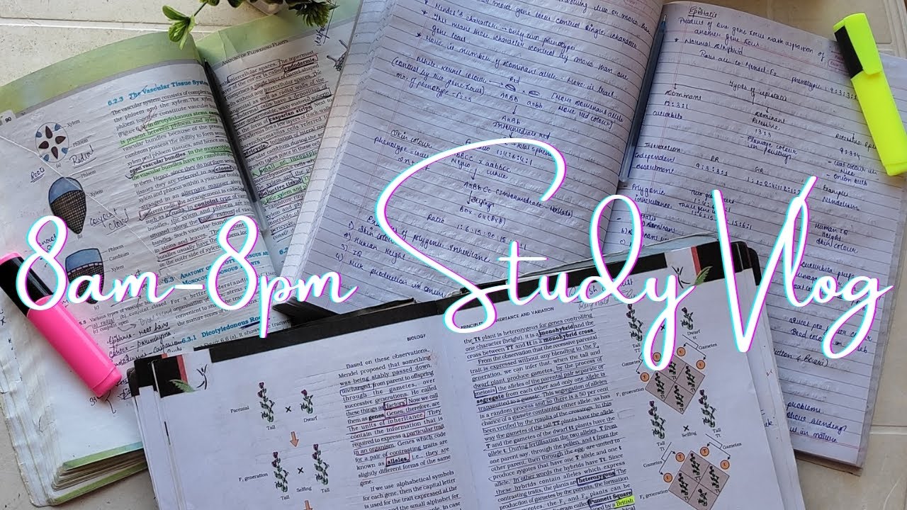 8am to 8pm study vlog| Lectures + Self study | Neet Aspirant| #neet2023 ...