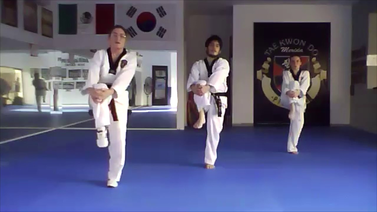 PATADAS BÁSICAS INTERMEDIOS Y AVANZADOS - YouTube