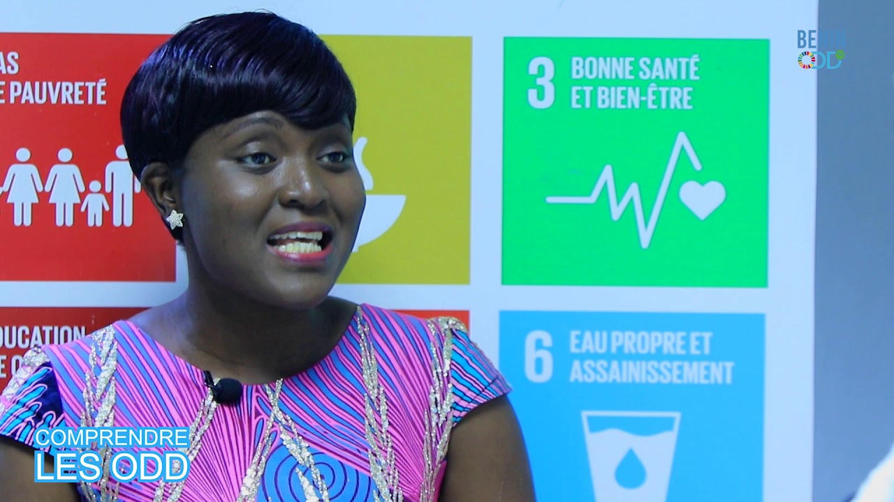 COMPRENDRE L'ODD 15_Benin Odd TV - YouTube