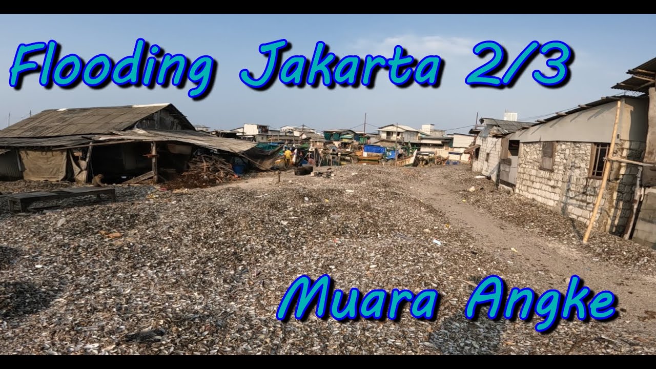 🇮🇩 Muara Angke - the slum where everything is about fish - YouTube