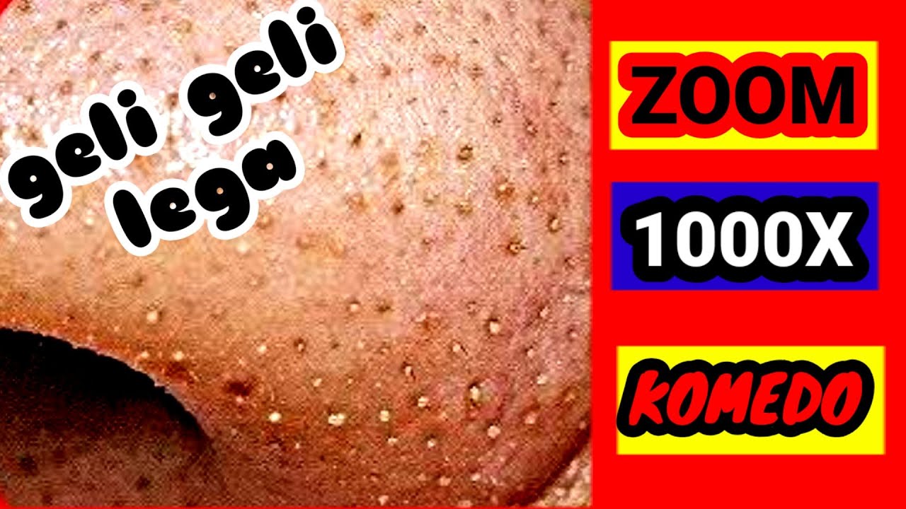 ZOOM 1000X KOMEDO geli-geli enak - YouTube