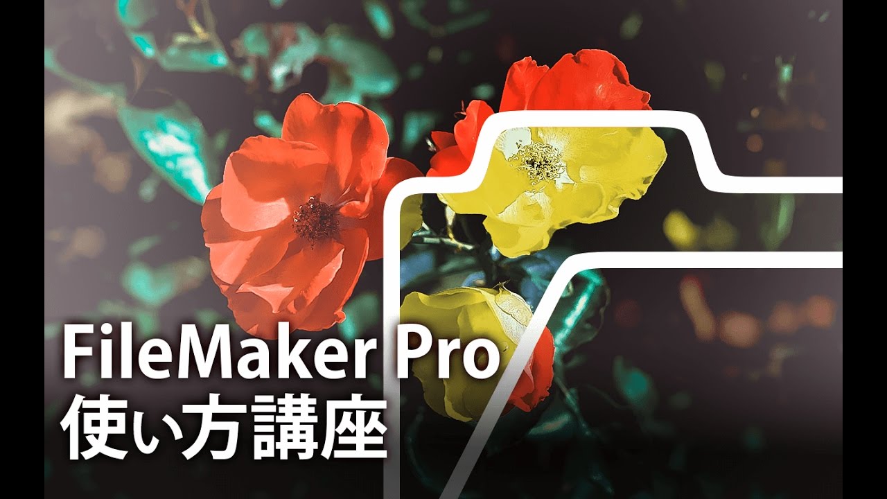 ファイルメーカープロ11使い方講座FileMaker Pro医療関係者の為の入門講座4/5 - YouTube