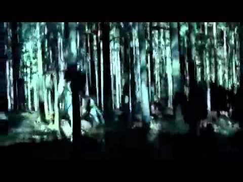 les louves de l'ADL.mp4