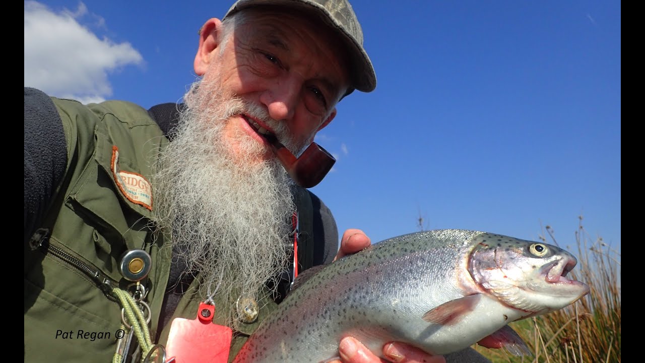2 lb Trout on fly - YouTube
