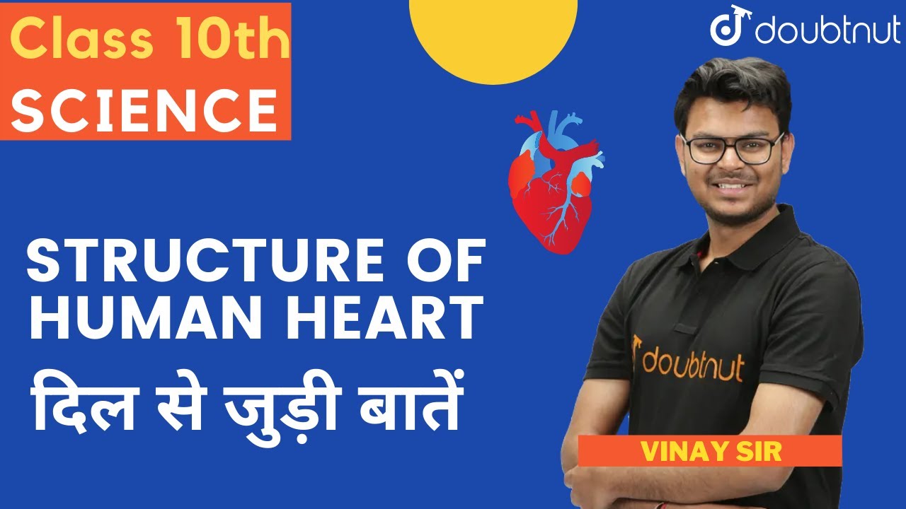 CBSE 2022 | Structure of Human Heart | NCERT Class 10 | Science | Vinay ...