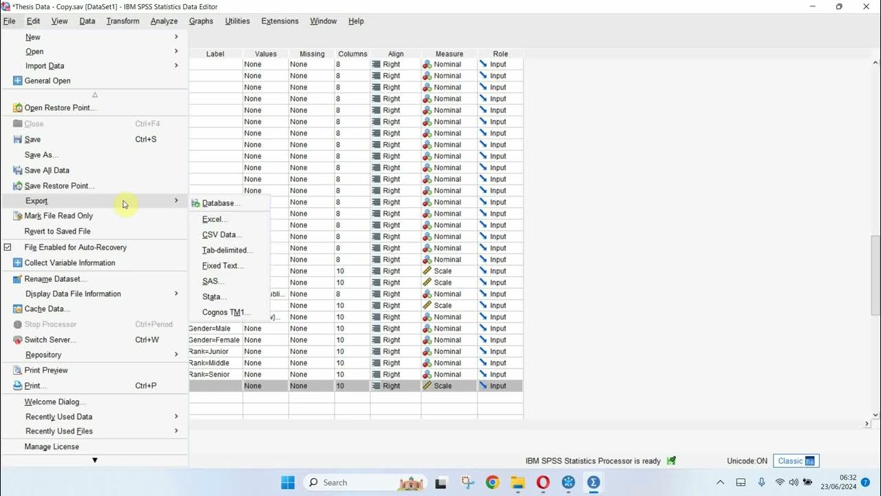 Creating Dummy and Composite Variables in SPSS and Excel - YouTube