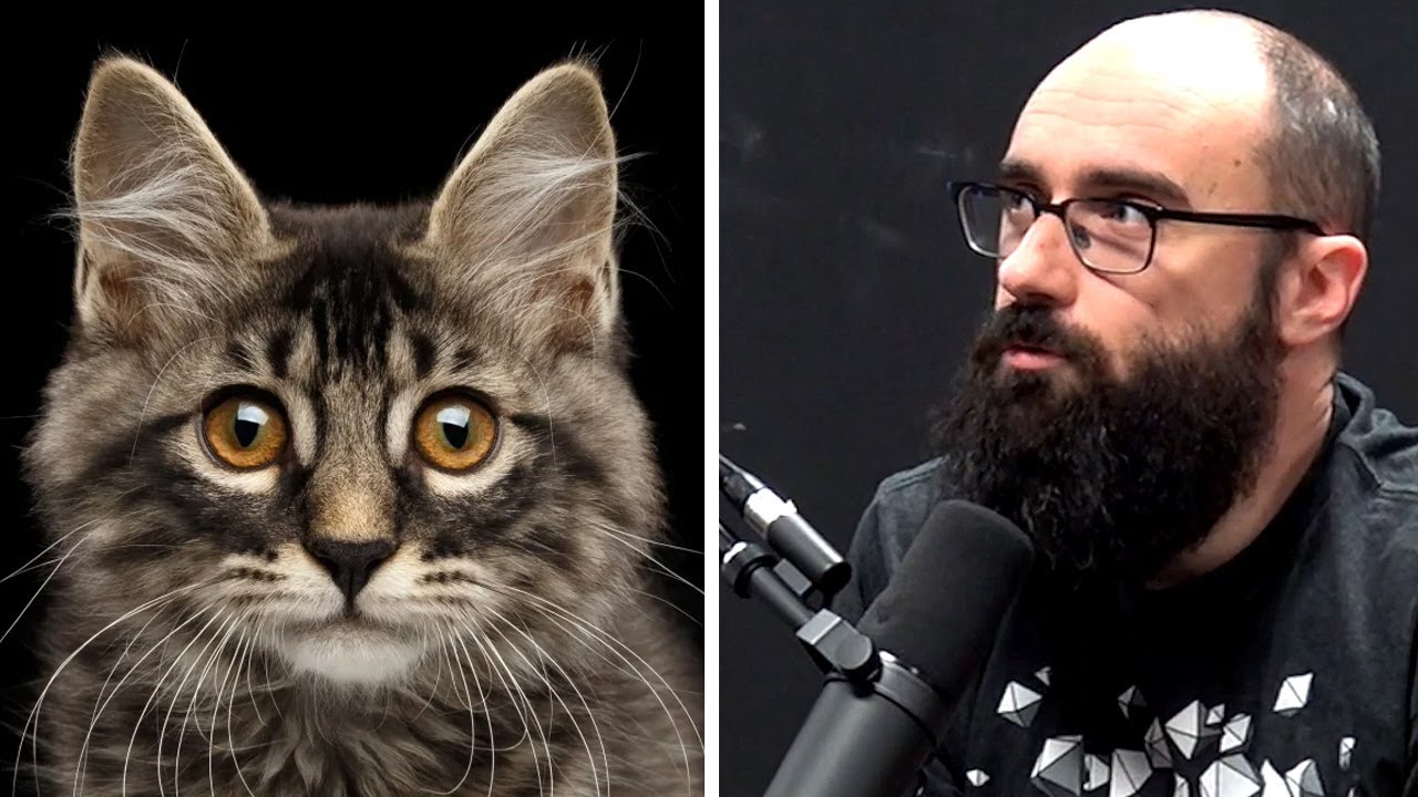 Vsauce: Perception vs Reality | AI Podcast Clip with Michael Stevens ...