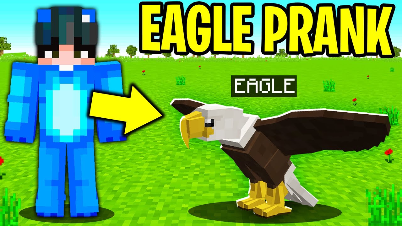 I Pranked My Friend as an Eagle in Minecraft! - YouTube