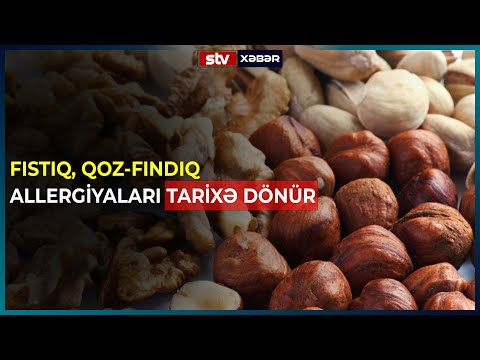 FISTIQ, QOZ FINDIQ ALLERGİYALARI TARİXƏ DÖNÜR