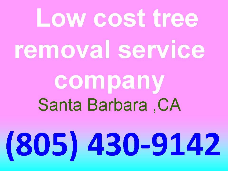Tree Removal Service Santa Barbara ,CA | (805) 430-9142 | Low cost tree ...