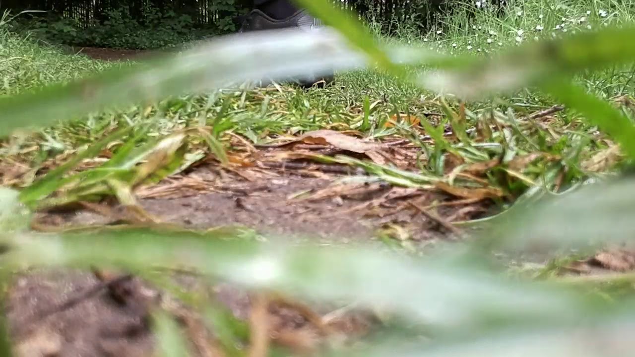 Dji tello ryze follow me app(1) - YouTube