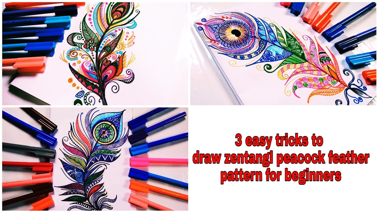 How to draw draw zentangle for beginners| easy tricks for 3 peacock ...