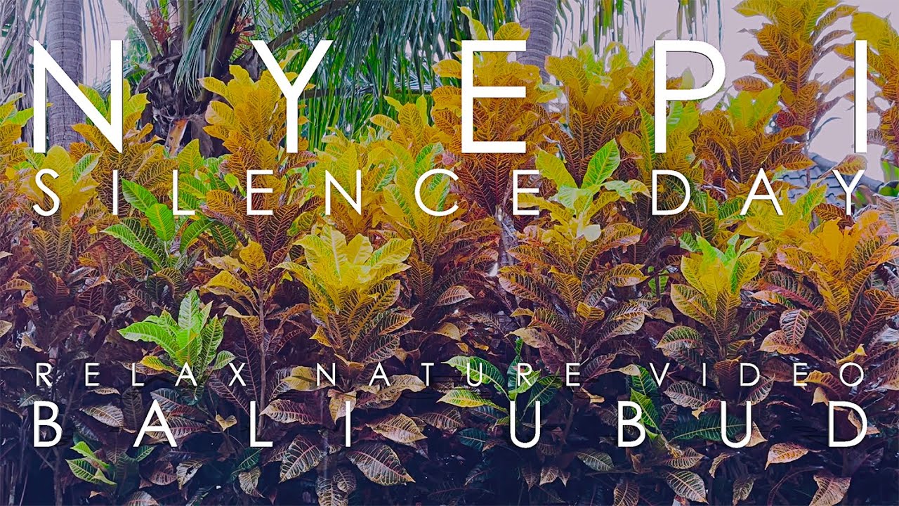 🇮🇩4K Nyepi Day – Silence Day. Nature's Symphony. Meditation in Bali ...