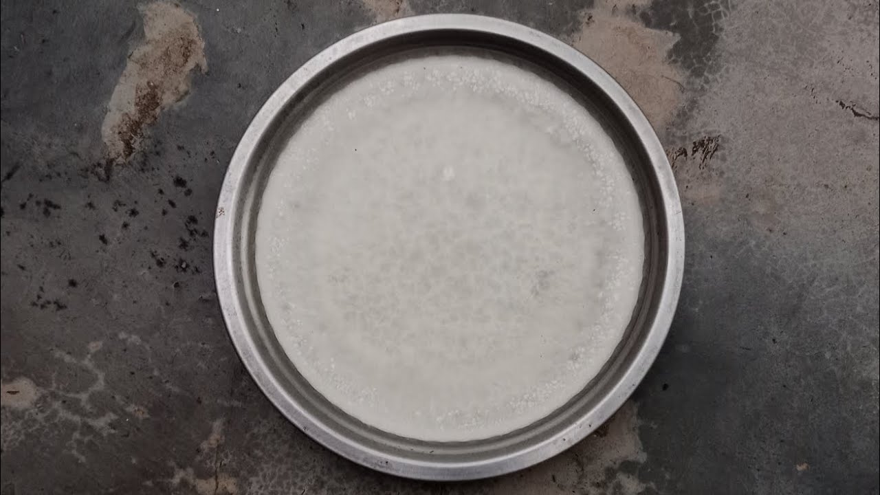 PREPARATION OF SIMPLE DIY DISSECTION TRAY - YouTube