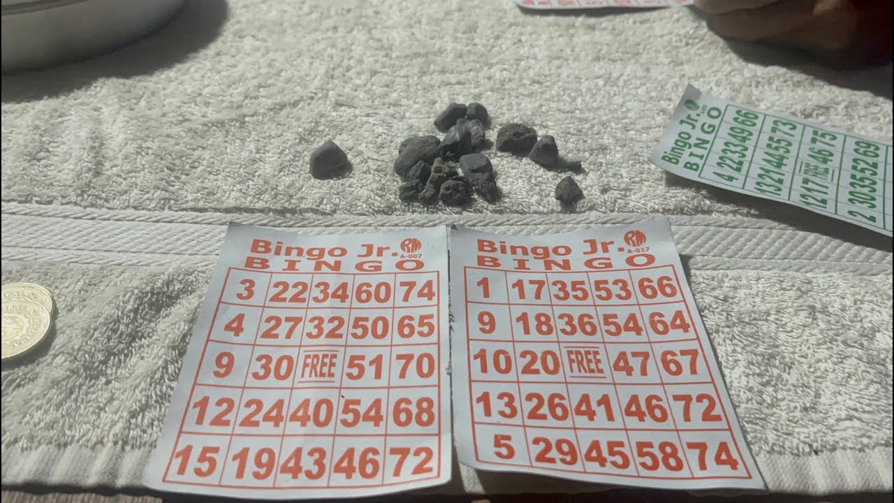 LET’S BINGO MANUAL - YouTube