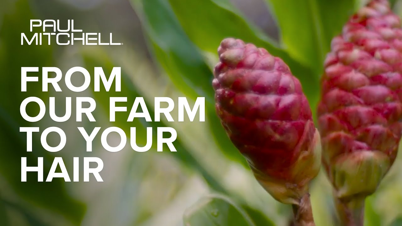 Our Story: From Our Farm to Your Hair - YouTube