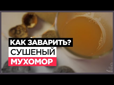 Заваривать сушёный Мухомор? Отвар, Чай. Рекомендации