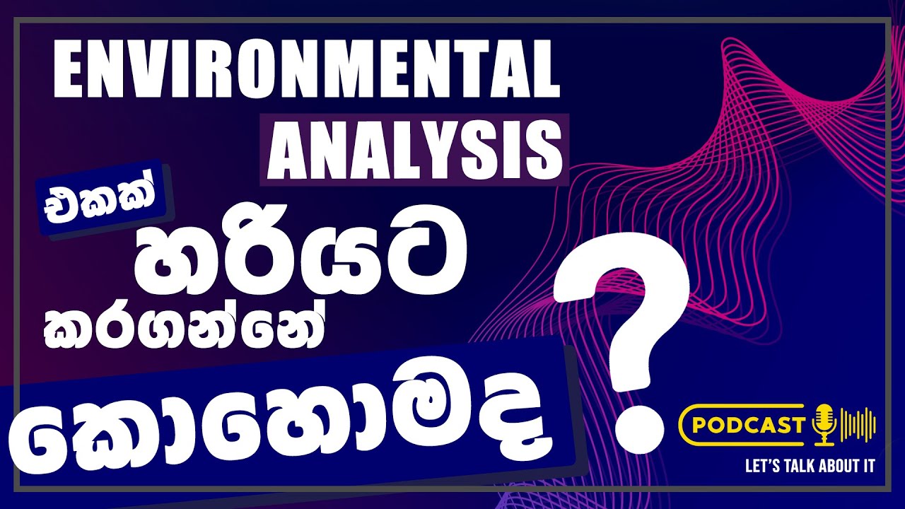 How to do an environmental analysis for your business | in sinhala ...
