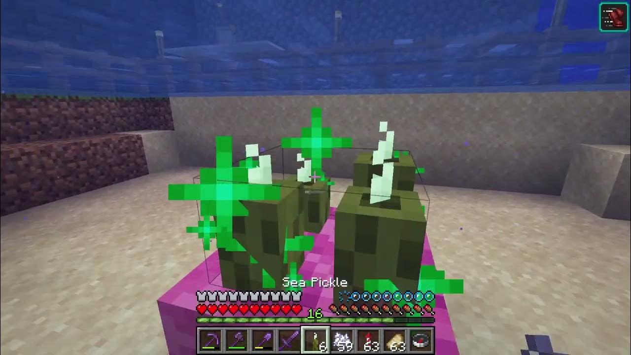 how-to-create-infinite-sea-pickles-at-home-as-long-as-you-have-the-bone
