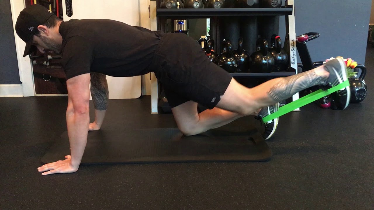 Quadruped Mini-Band Kick Back - YouTube
