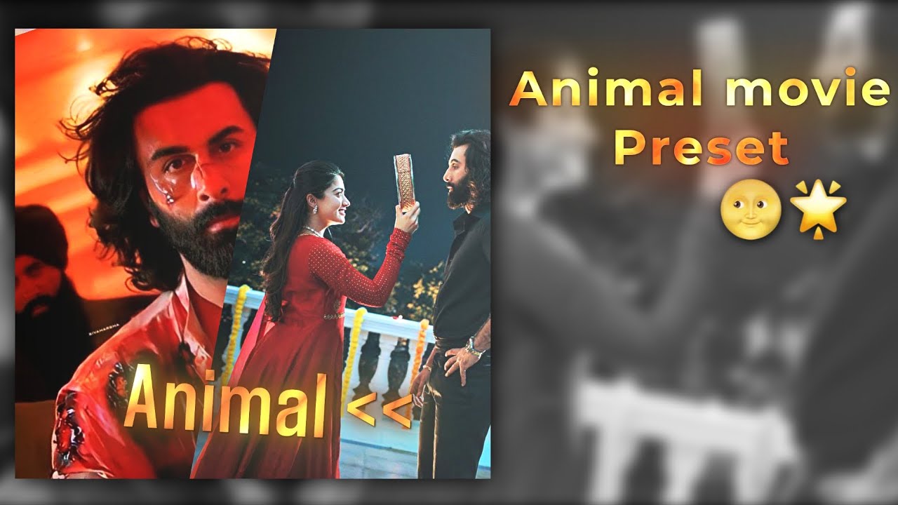 ANIMAL MOVIE PRESET 🌝🌟 (ALIGHT MOTION) - YouTube