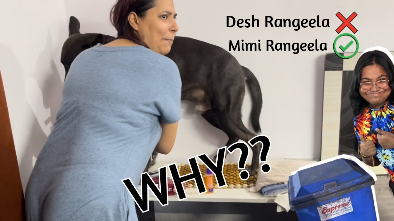 What Happened When Mimi Went Rangeela & Bruno Jumped In?! 😂🎆 ...