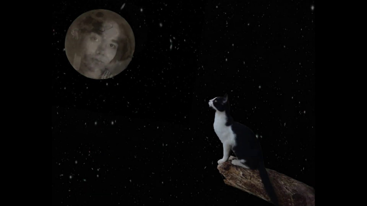 Danit - Lunita (Cover) - YouTube