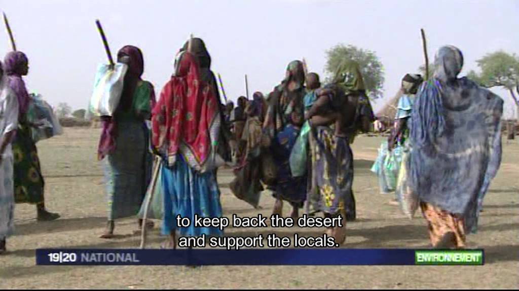 SOS SAHEL - Reportage France 3 - Acacia - ST - YouTube