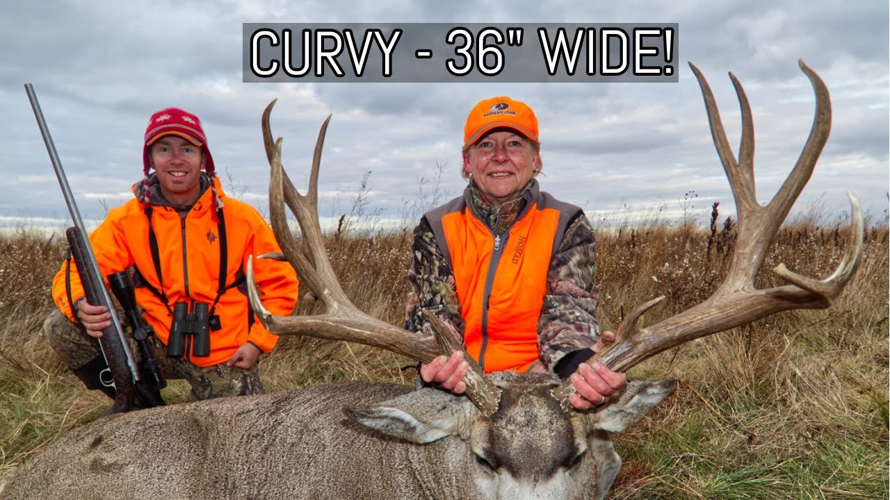 36" WIDE MULE DEER! The GIANT framed mule deer we called Curvy! - YouTube