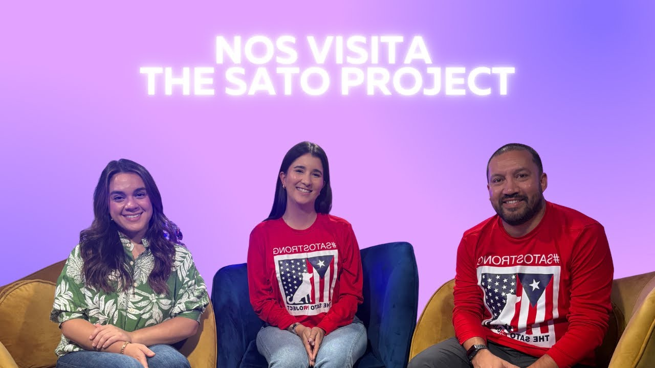 Desde las calles hasta un hogar: Los retos de rescatar con The Sato ...