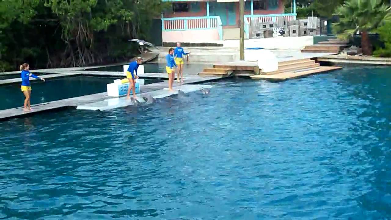 Flipper Show @ Miami Aquarioum - YouTube