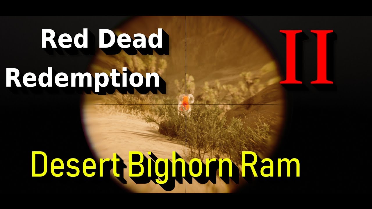 Red Dead Redemption 2 Desert Bighorn Ram Location - YouTube