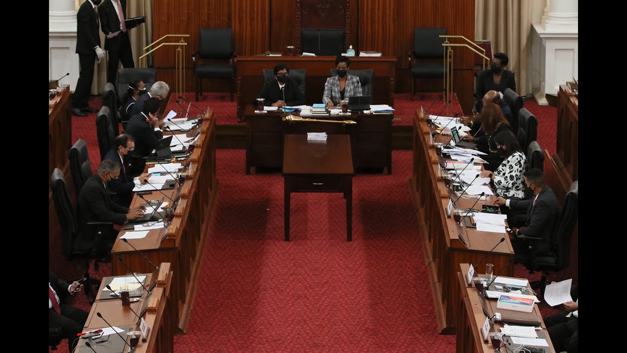 8th Sitting of the Senate (Part 1) - 1st Session - December 10, 2020 ...