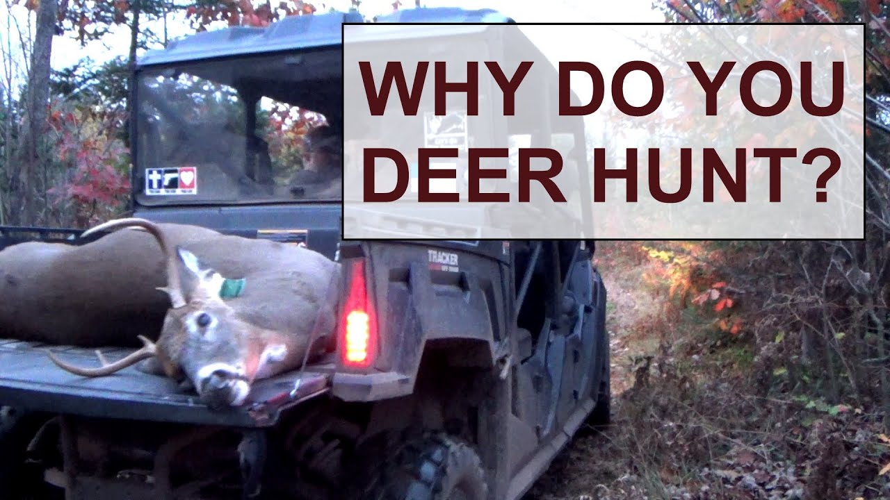 Why Do You Deer Hunt? Reasons For Deer Hunting - YouTube
